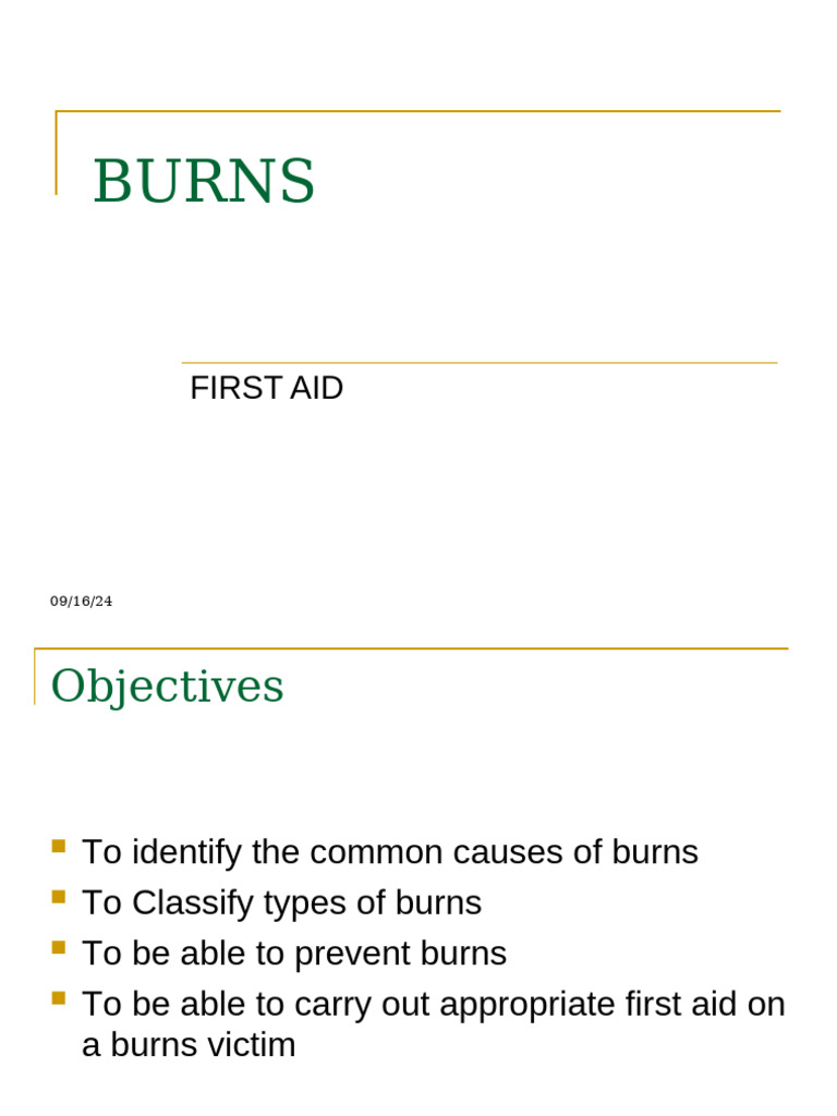 05 Burns | PDF