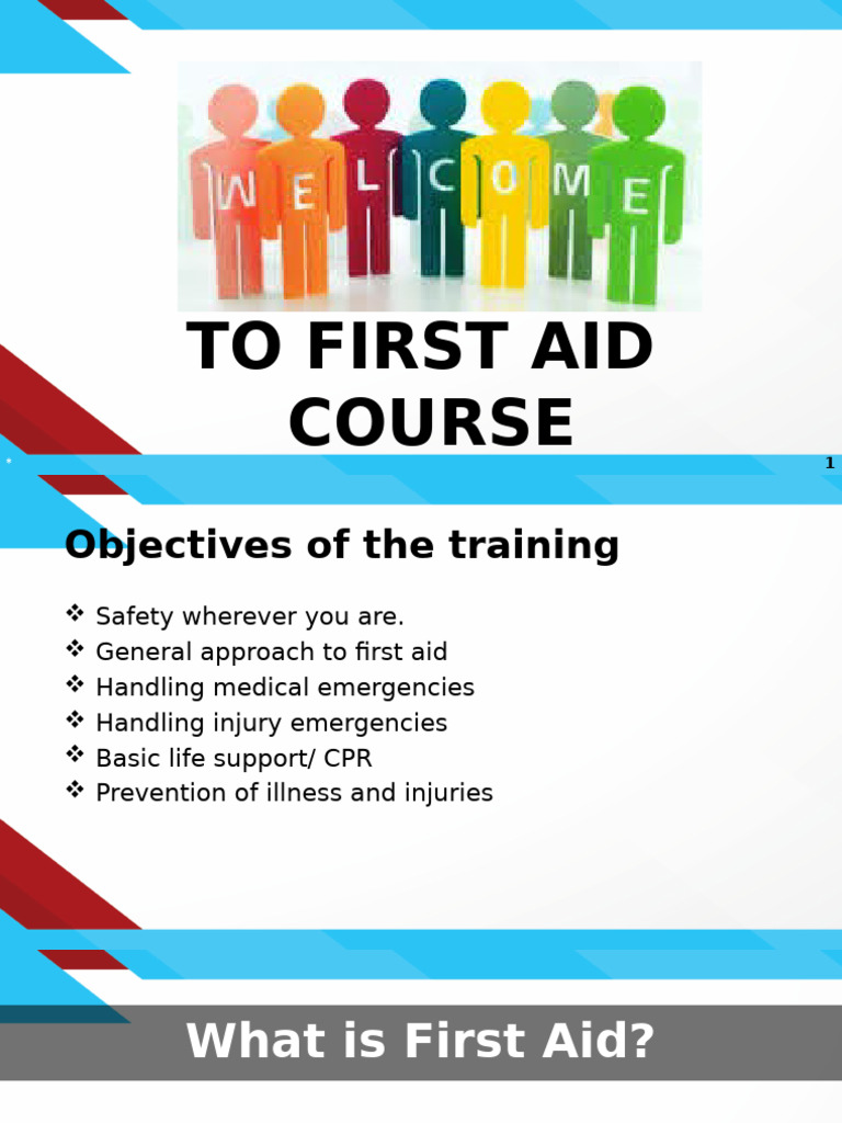 First Aid One | PDF