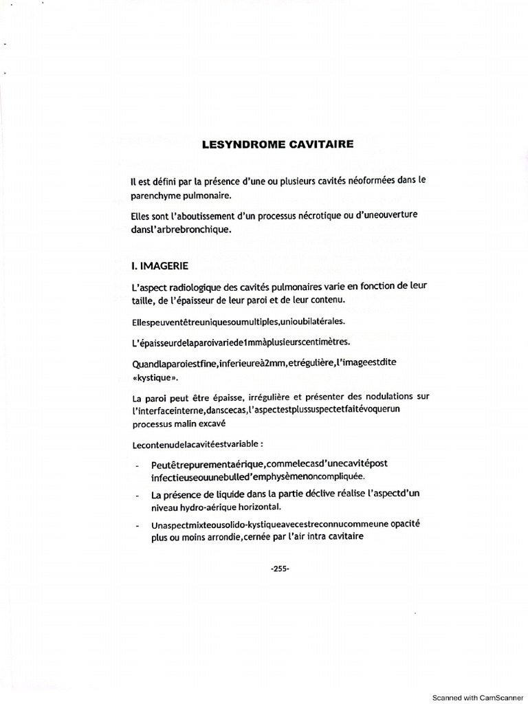 Rx Thorax P6 Le Syndrome Cavitaire | PDF
