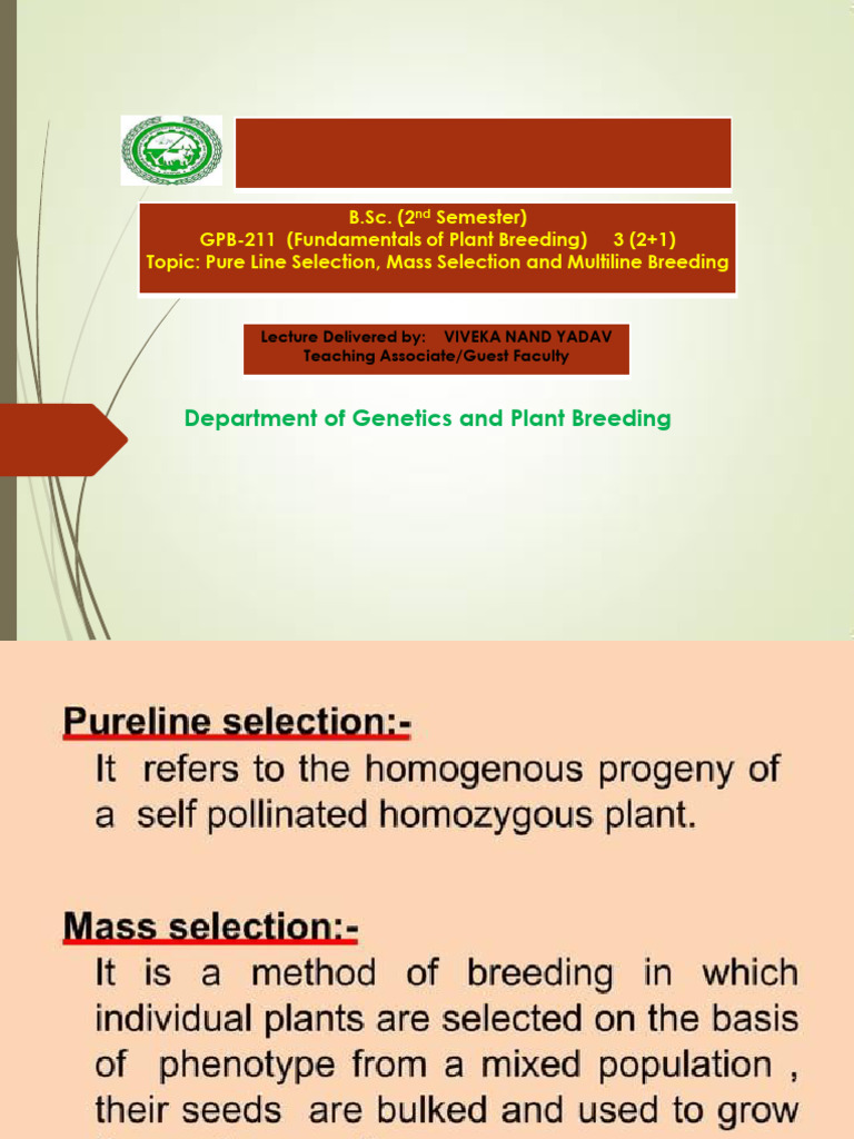 UG GPB 211 Pure Line Selection Mass Selection and Multiline Breeding by ...