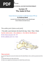 Footand Ankle Anatomy Labeling Lab | PDF | Foot | Ankle