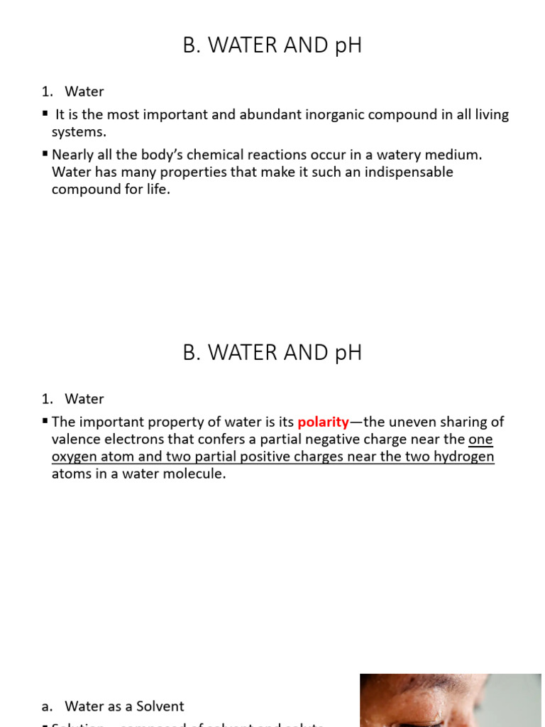 Biochem - Water & PH | PDF | Chemical Polarity | Water