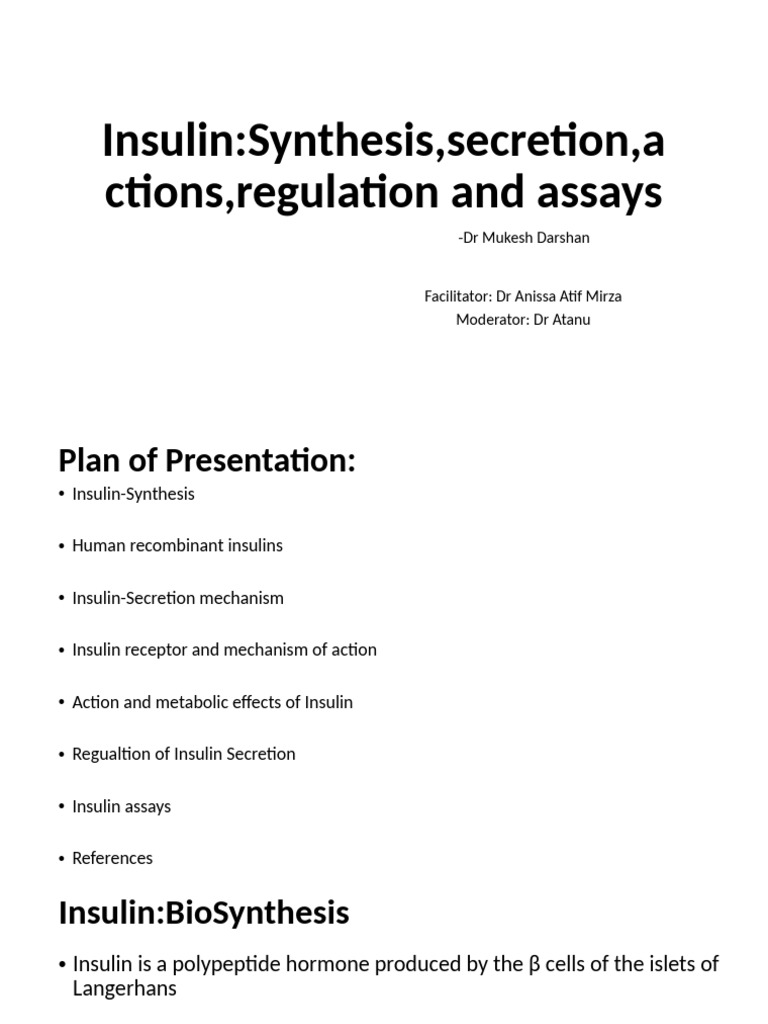 Insulin Synthesis and Secretion Overview | PDF | Insulin | Metabolism