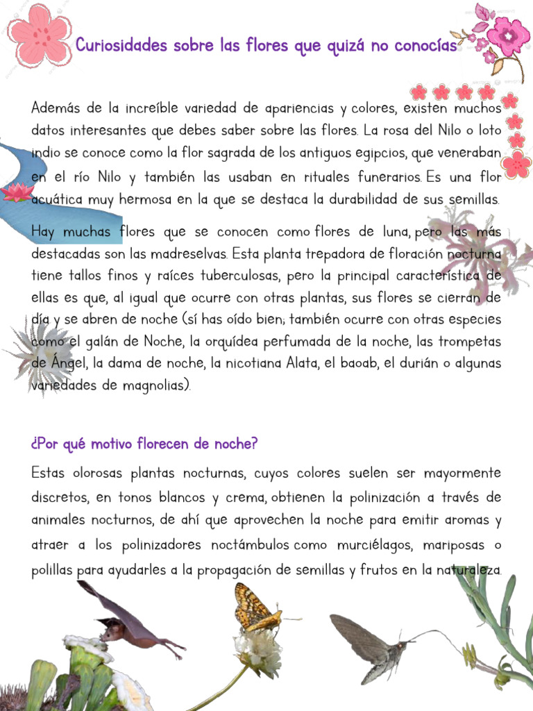 Curiosidades de Las Flores | PDF