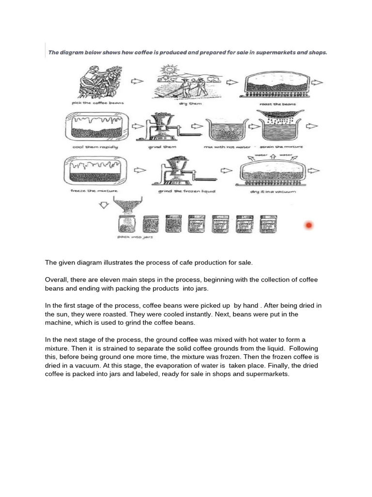 Coffe Process - Task1 - Đã S A | PDF