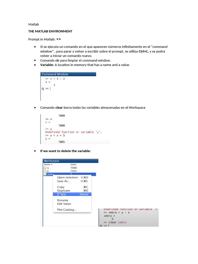 Matlab Environment | PDF