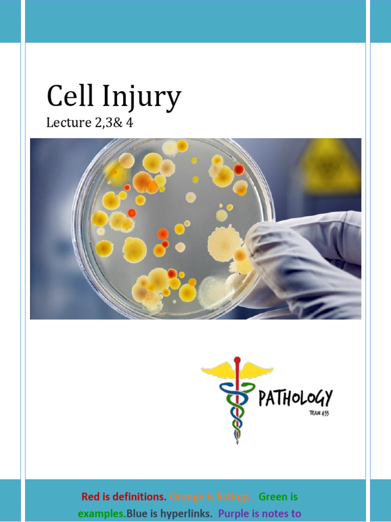 2 + 3 + 4 - Cell Injury, Cell Death & Cell Adaption Cell Inury | PDF