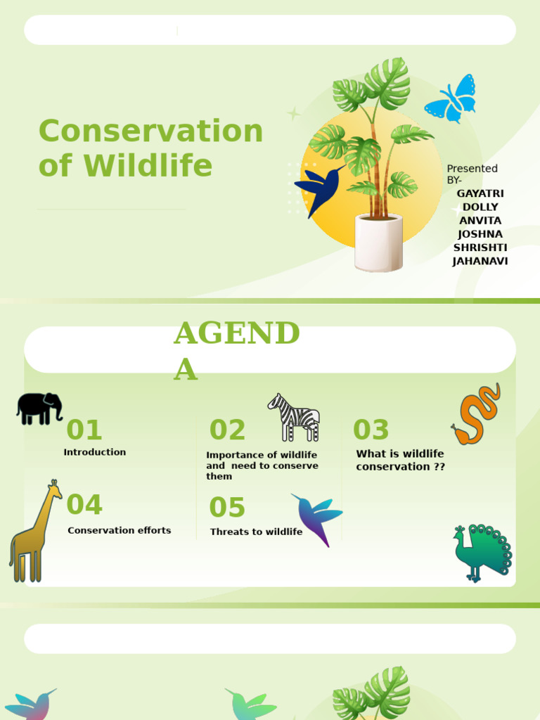 Conservation Of Wildlife Final Ppt By Anvita Pdf