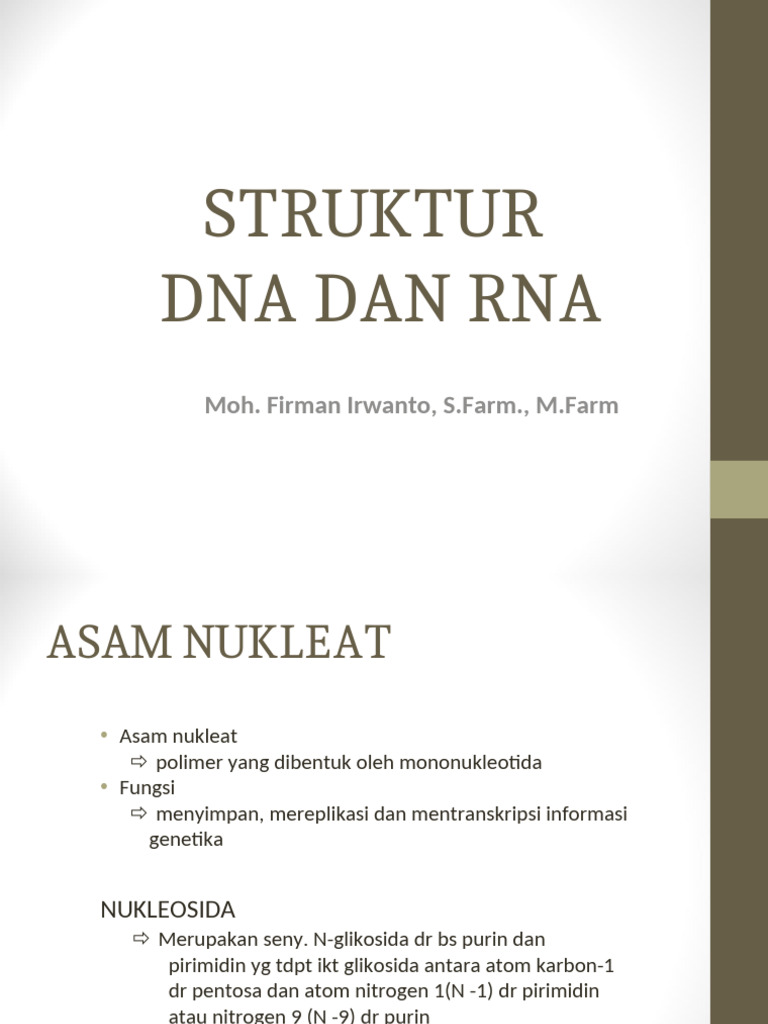Struktur Dna Dan Rna - TM 4 | PDF
