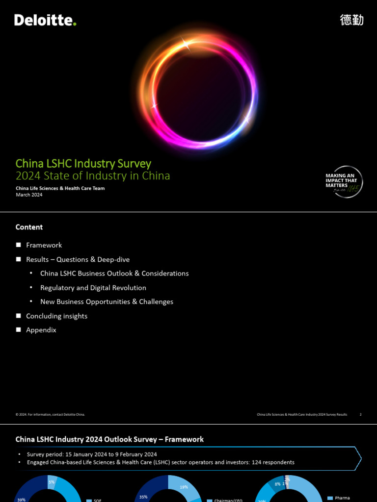Deloitte 2024 Report | PDF