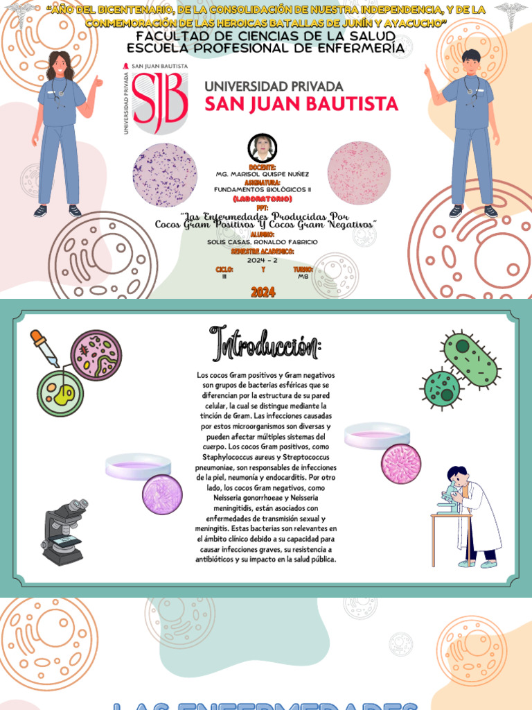 Enfermedades por Cocos Gram Positivos y Negativos | PDF | Meningitis ...