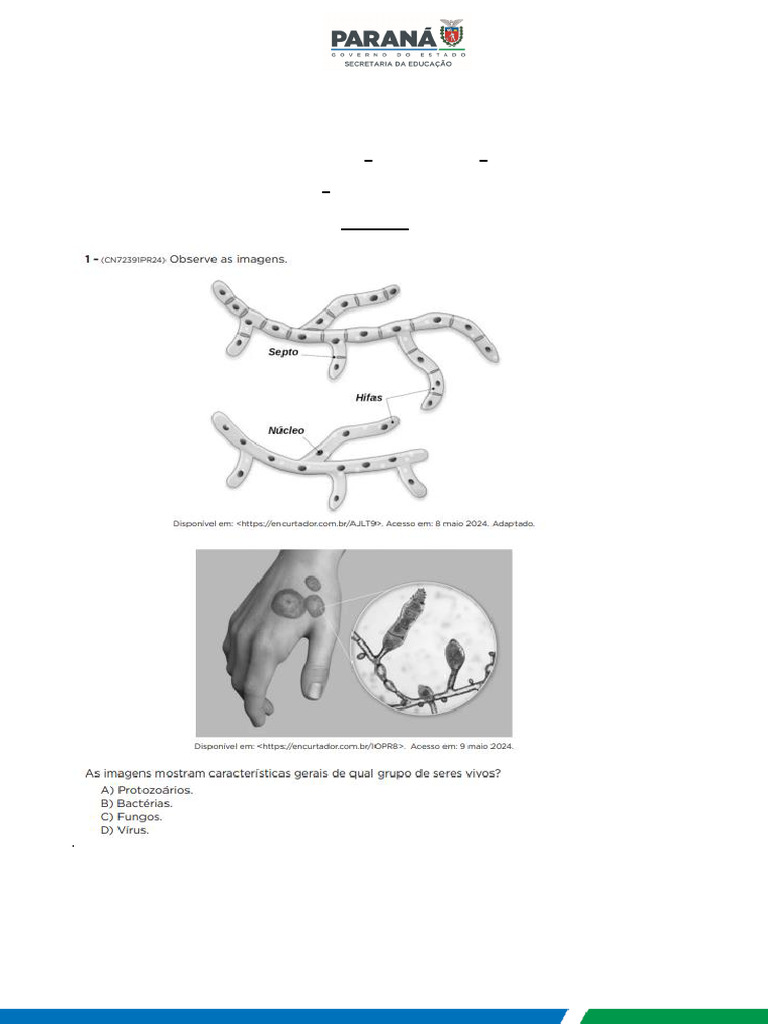 Prova Comentada 2024 Cad.2 (7° Ano) 2 Ed | PDF