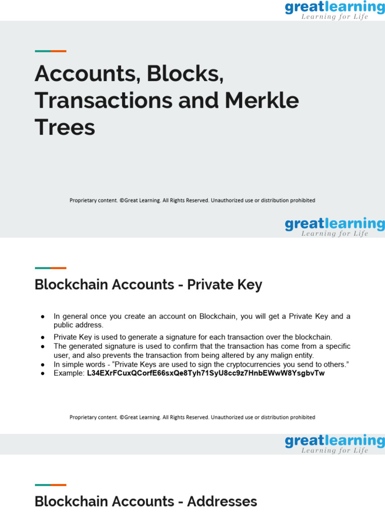 Accounts, Blocks, Transactions and Merkle Trees | PDF
