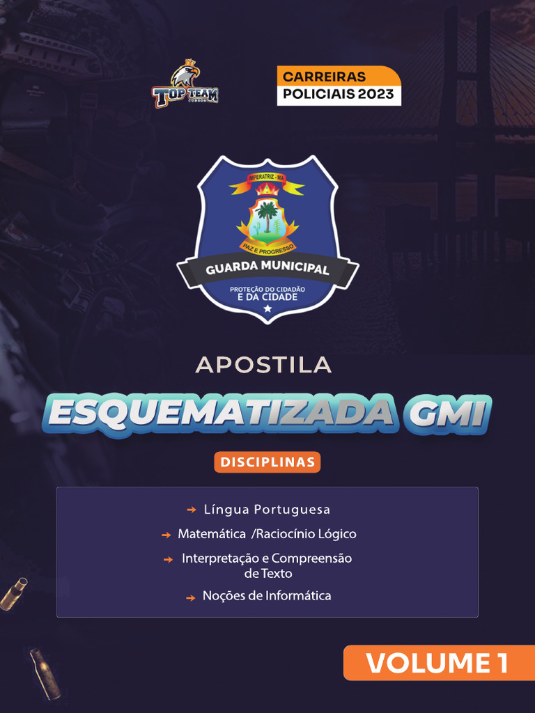 APOSTILA_ESQUEMATIZADA_VOLUME_01_CONHECIMENTOS_BASICOS_GMI_2023 | PDF