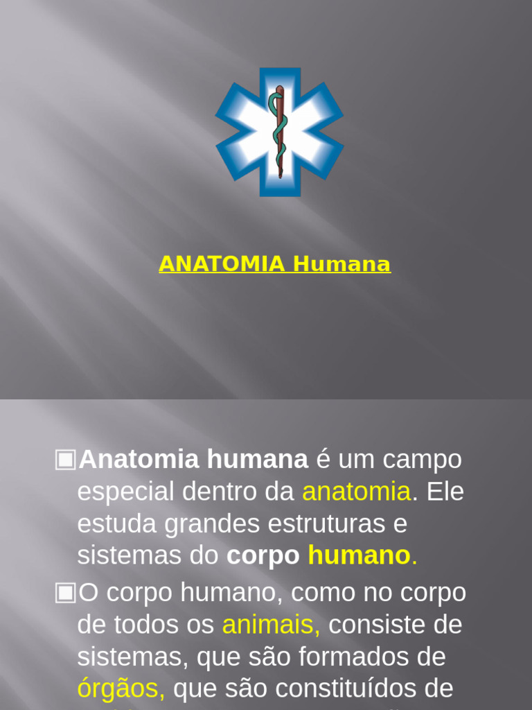 Geral Anatomia | PDF