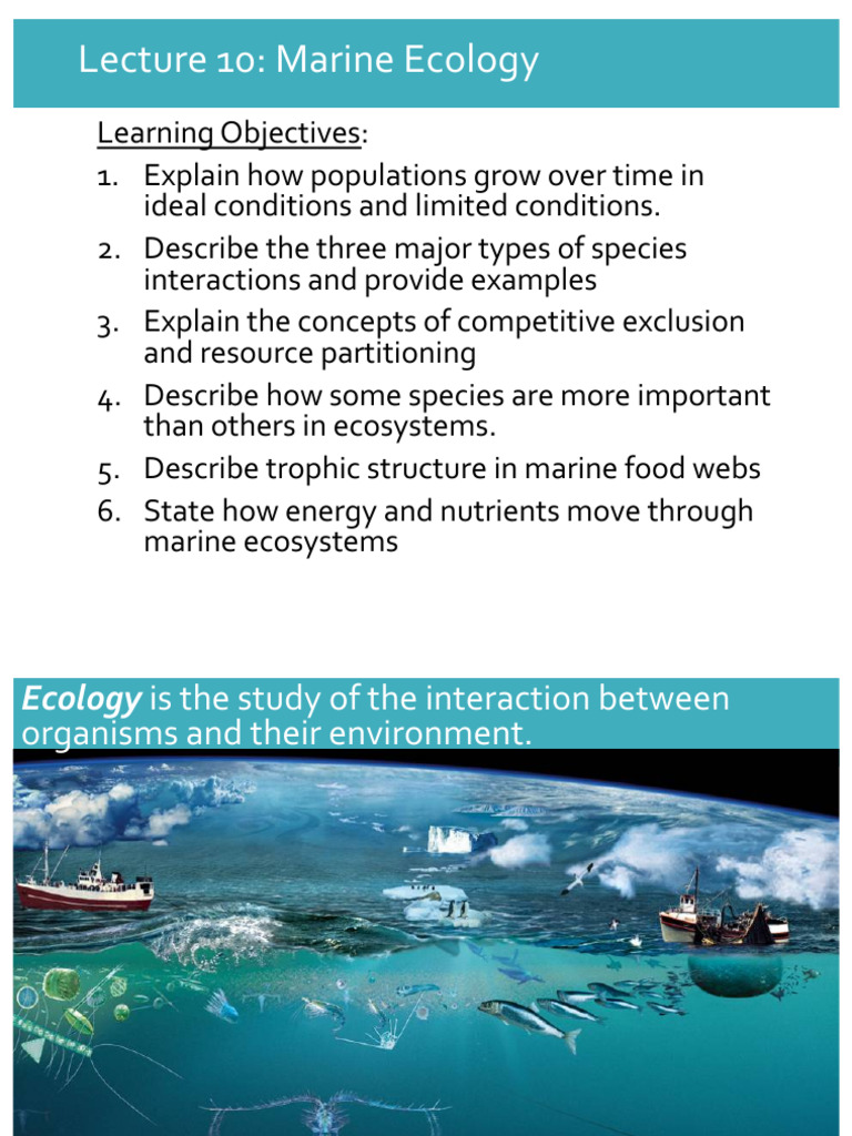 Bio20 - 10 - Marine Ecology - Color | PDF | Ecosystem | Science ...