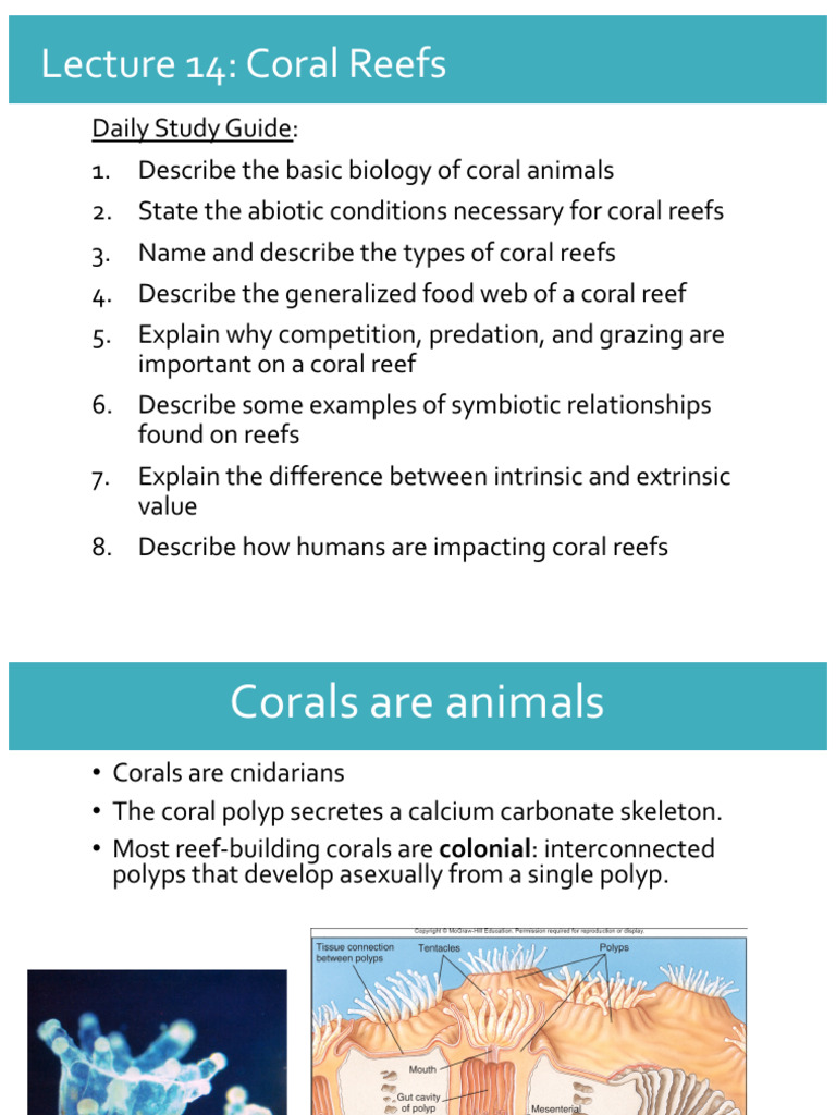 Bio20 - 14 - Coral Reefs - color | PDF