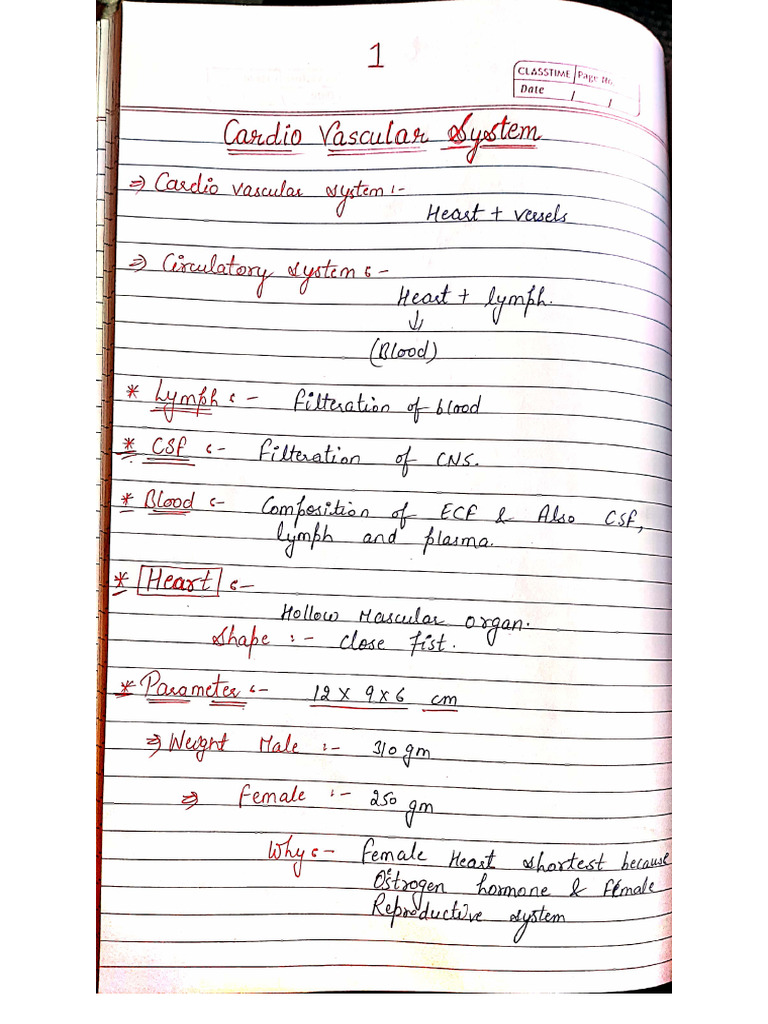Cardiovascular System Adult | PDF