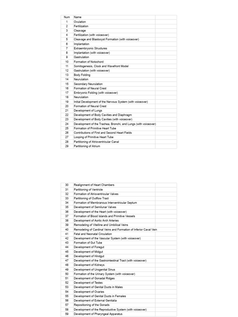 Video List | PDF