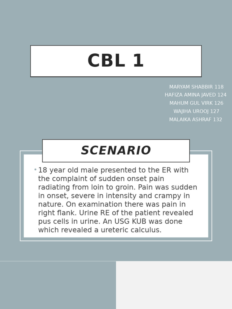 Anatomy CBL 1 | PDF