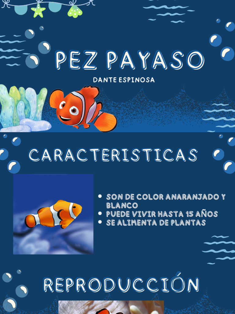 Pez Payaso (1) | PDF