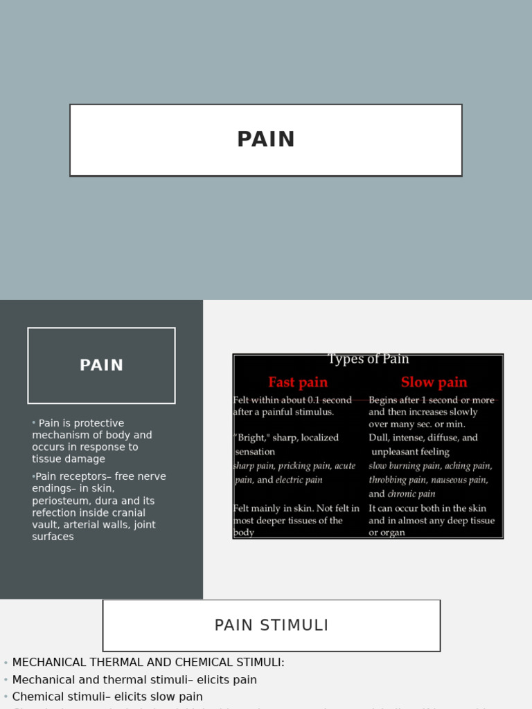 Pain | PDF