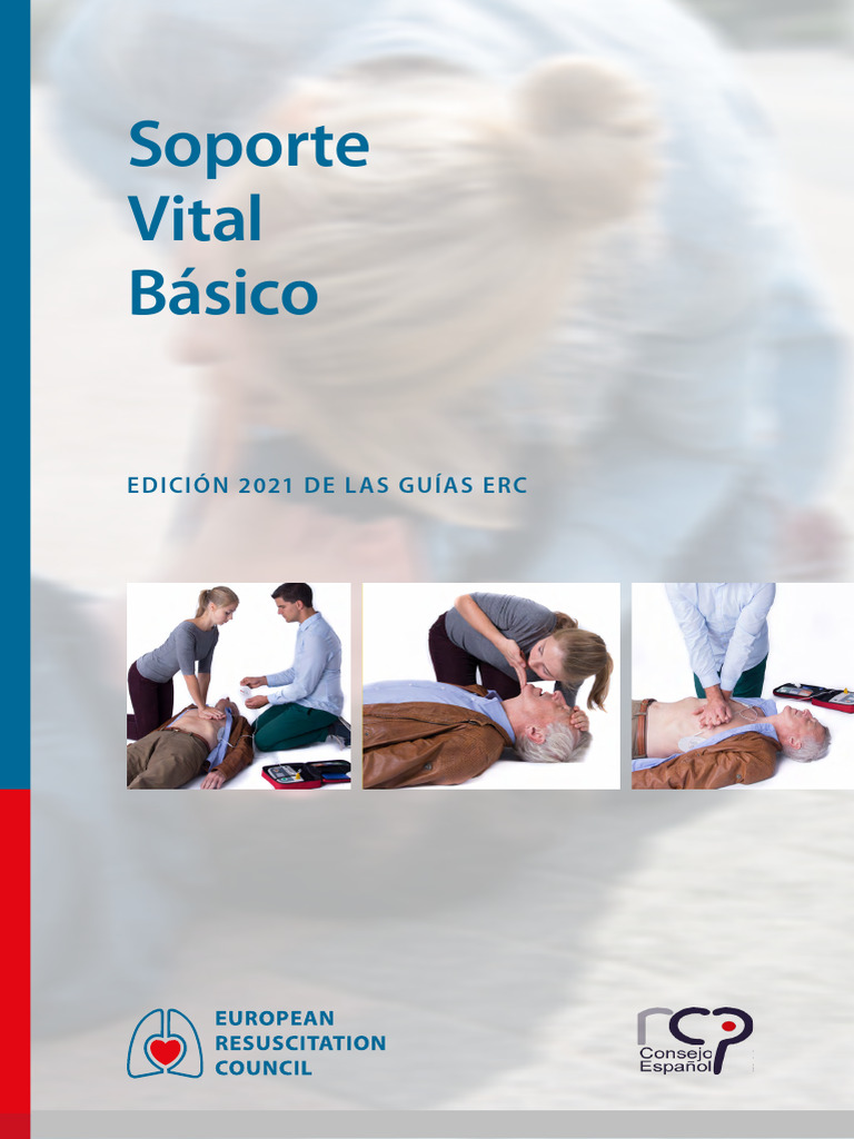 Manual SVB y DESA 2021 | PDF