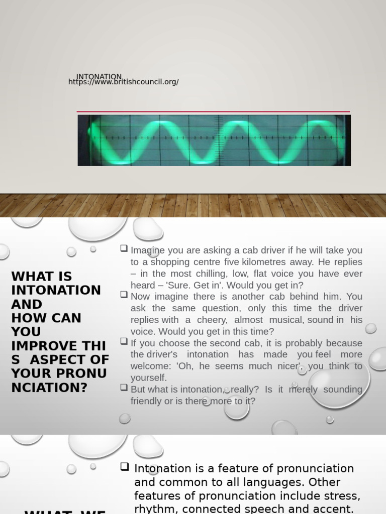Intonation | PDF