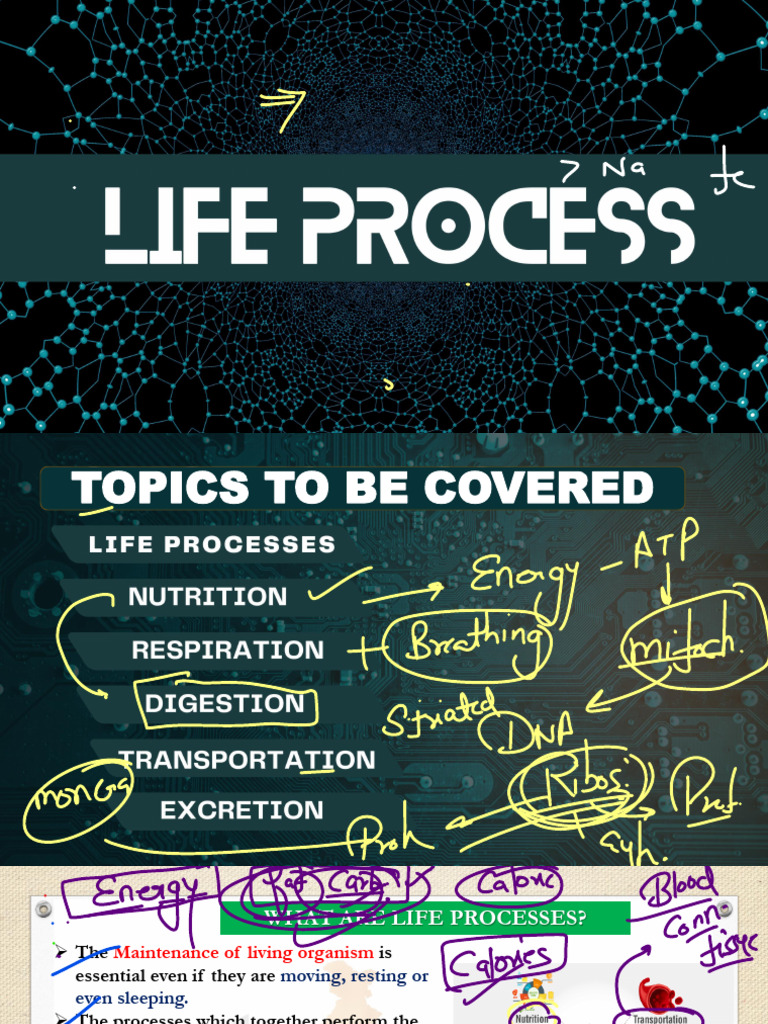 Life Process Ki Shuruwat+Paraguay | PDF