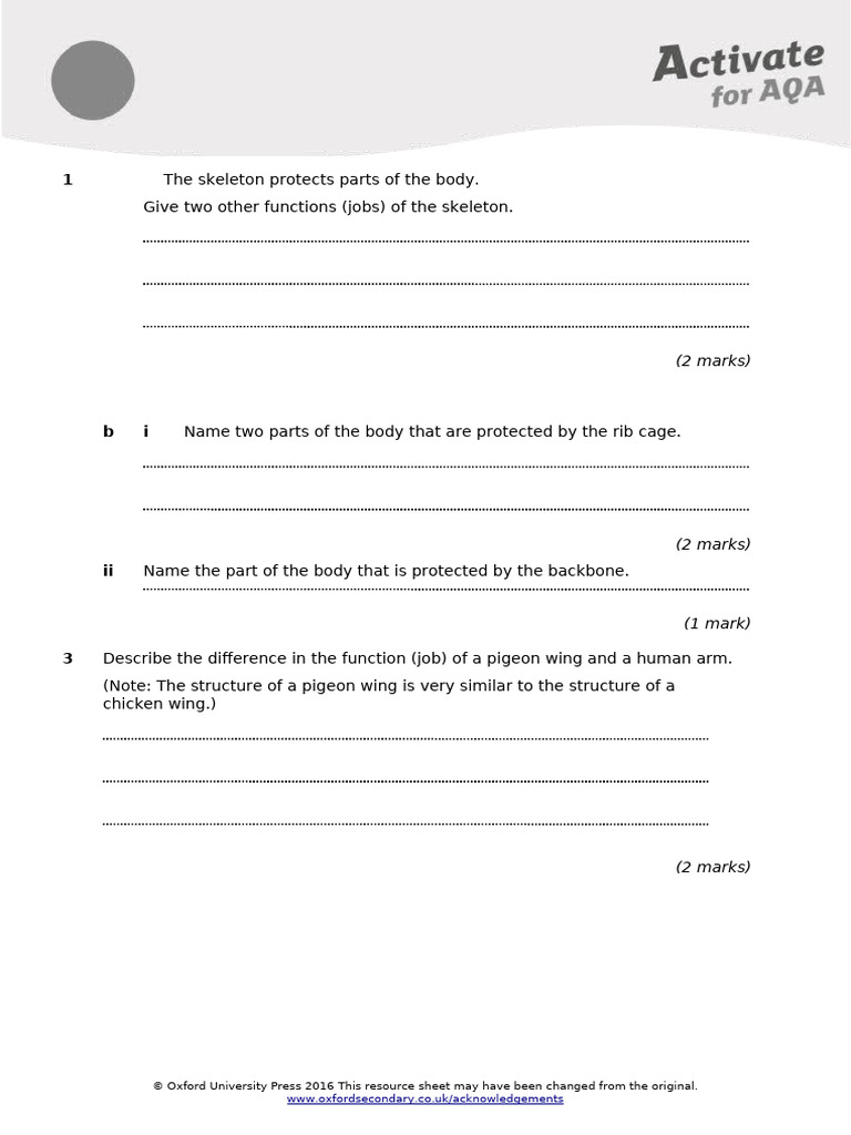 Worksheet For Cyrus | PDF