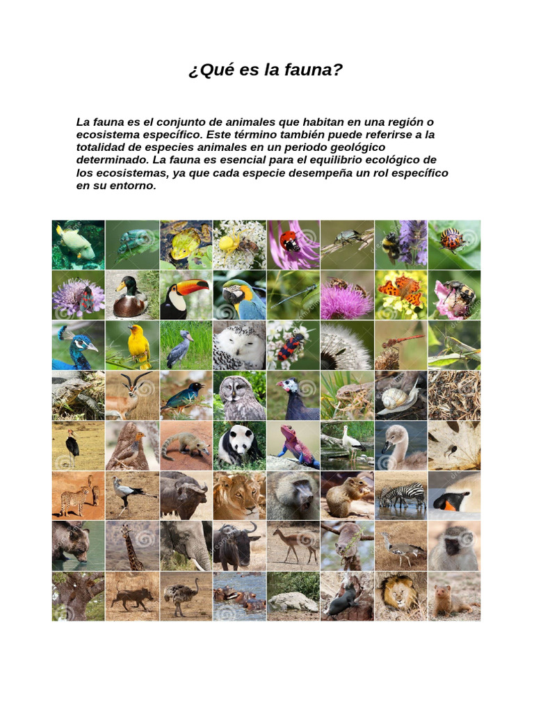 Qué Es La Fauna | PDF | Fauna | Biodiversidad