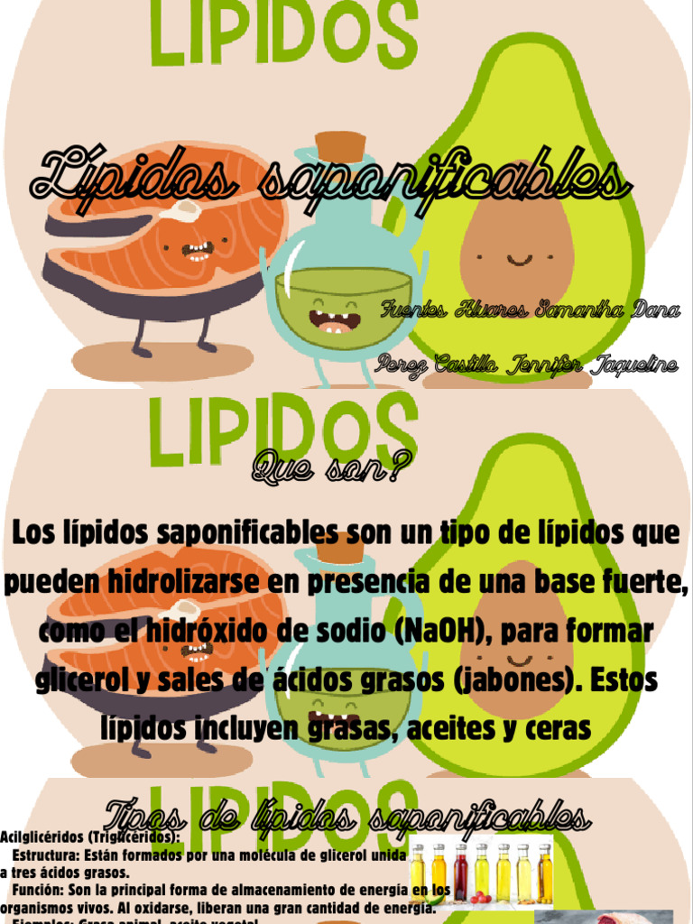Lípidos Saponificables: Funciones y Ejemplos | PDF | Lípido ...