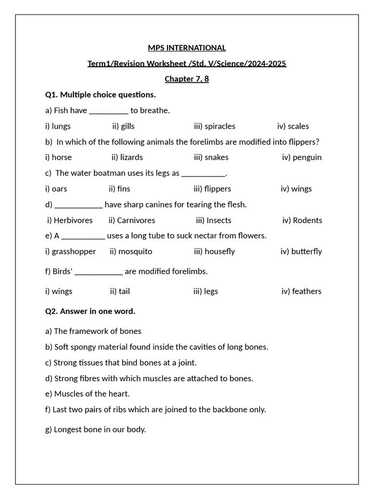 Revision Worksheet Term1 Class5 CH 7 and 8 | PDF