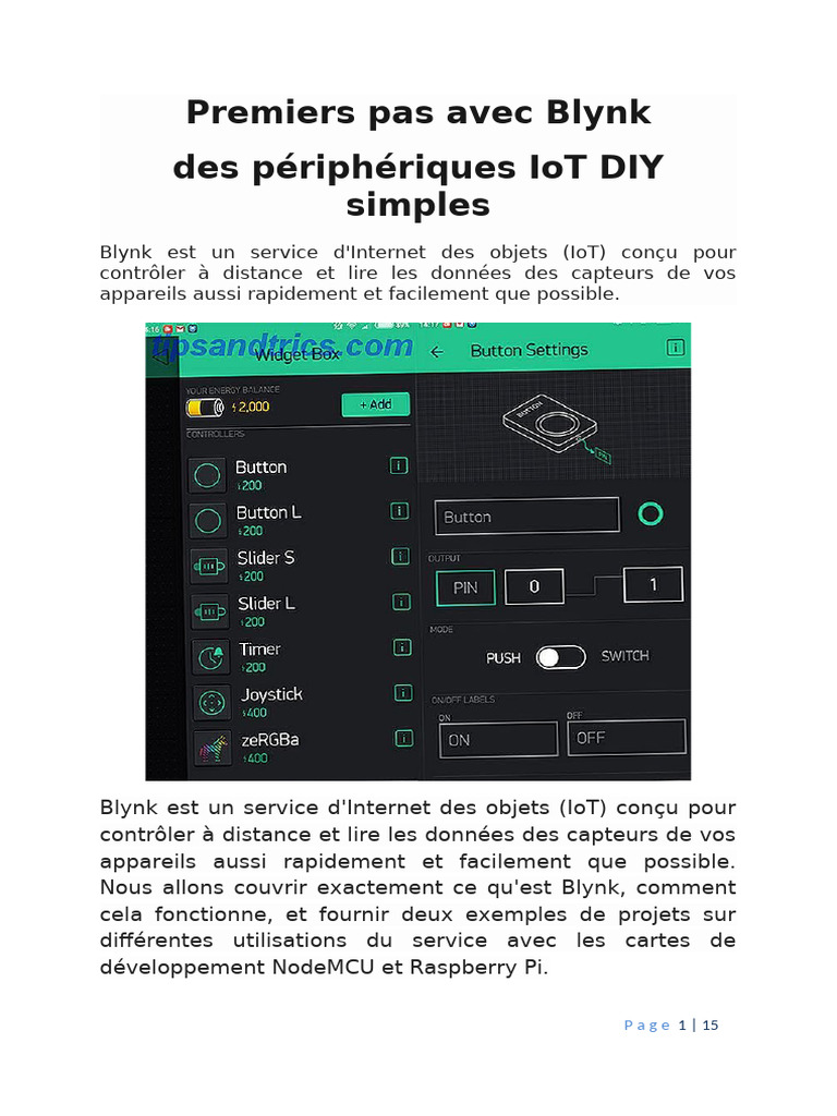 Premiers Pas Avec Blynk | PDF
