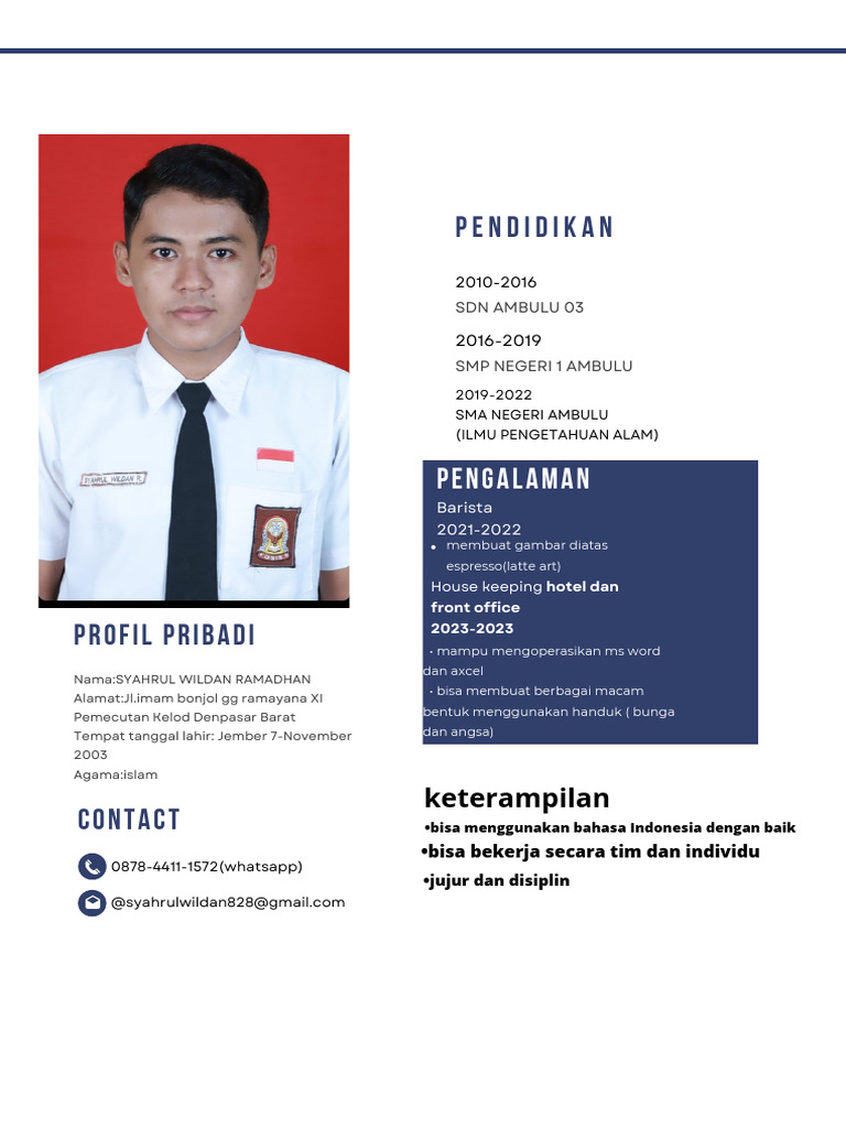 Contoh CV PT Terbaru 2024 | PDF