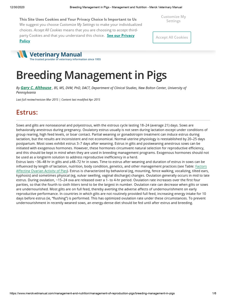 Breeding Management in Pigs: Merck Manual Veterinary Manual | PDF