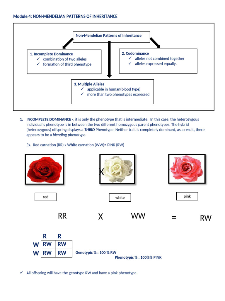 Module 4 Non Mendelian Pattern of Inheritance | PDF | Dominance ...