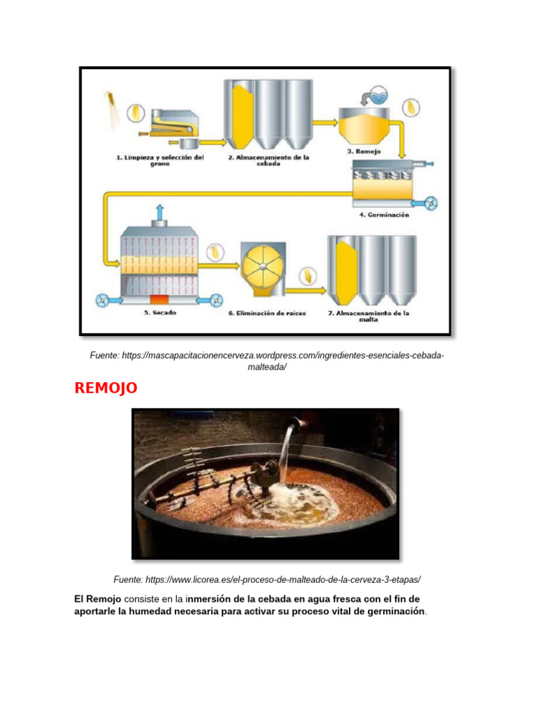 Proceso de Remojo | PDF | Hogar, jardinería y bricolaje | Tecnología