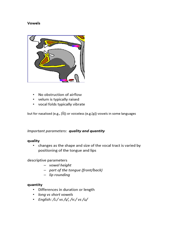 Lecture 6-Vowels | PDF
