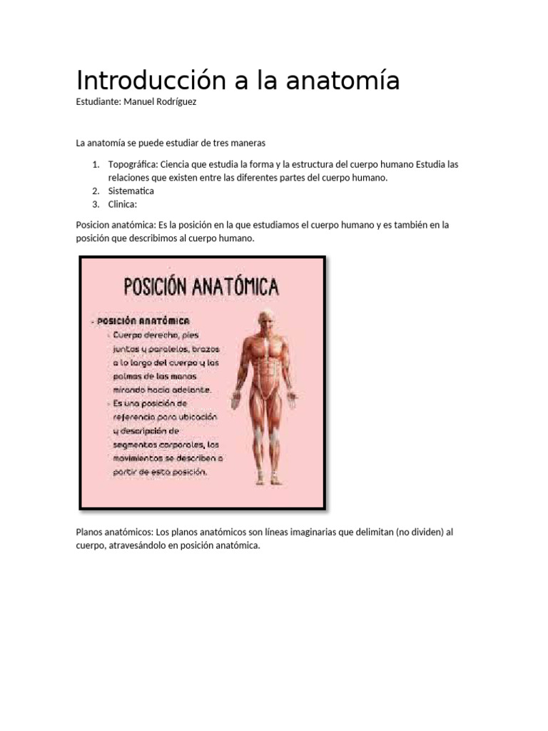 Anatomía: Planos y Posiciones Básicas | PDF