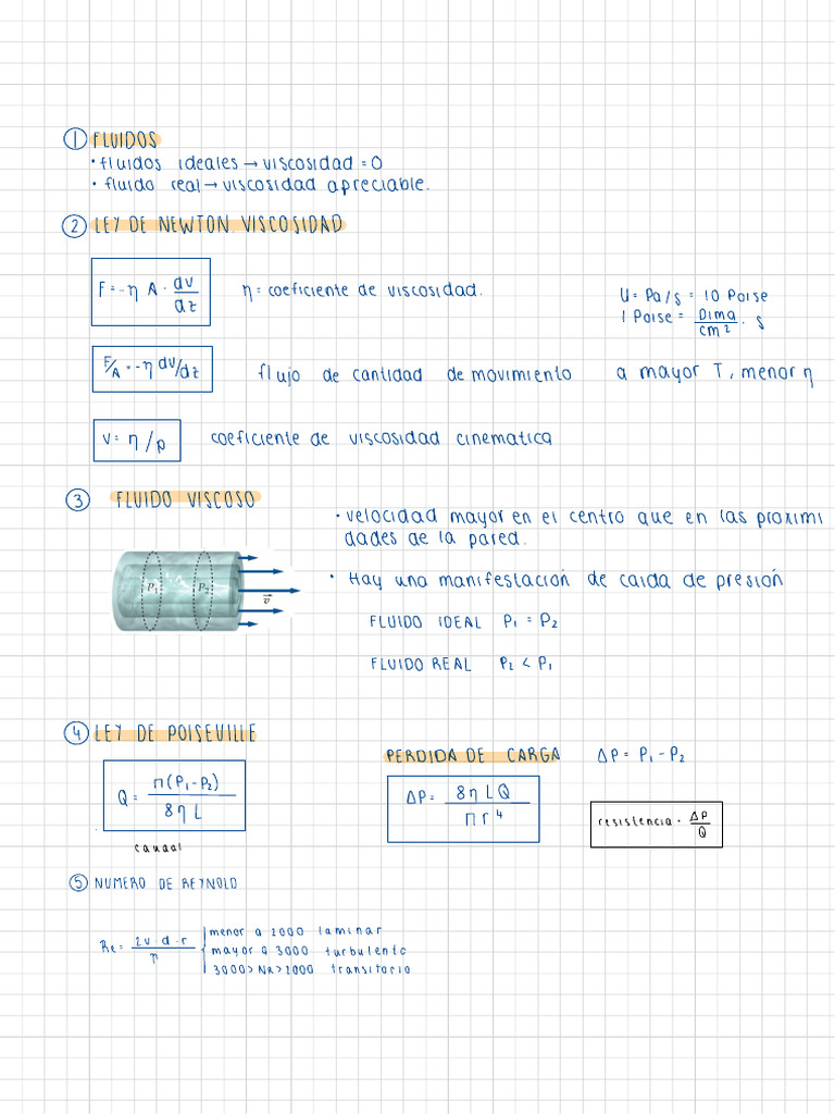 Tema 6 Fluidos Reales | PDF
