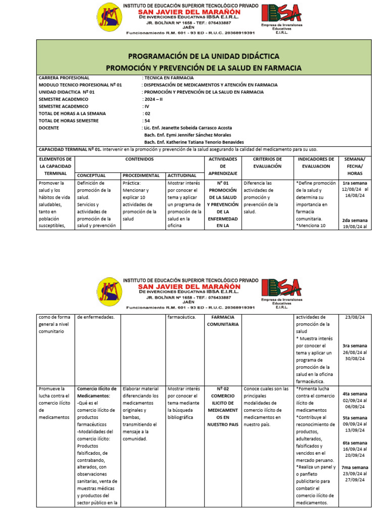 Promocion y Prevencion en La Salud - Programacion - 2024 | PDF