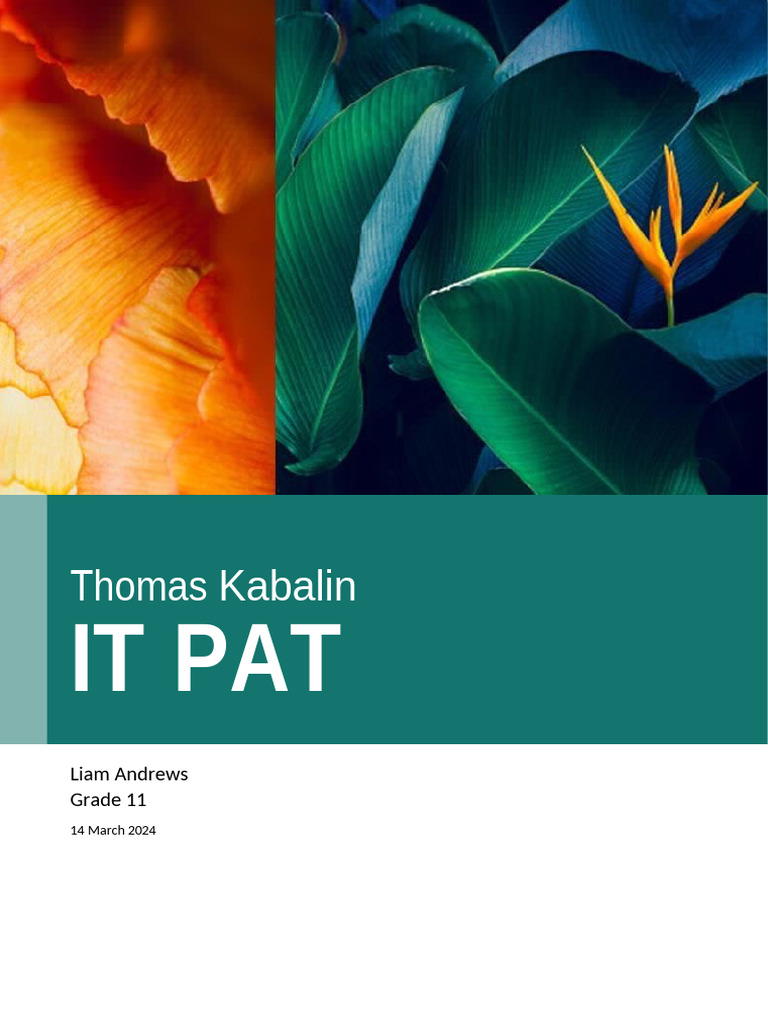 Liam Andrews - Grade 11 IT PAT | PDF