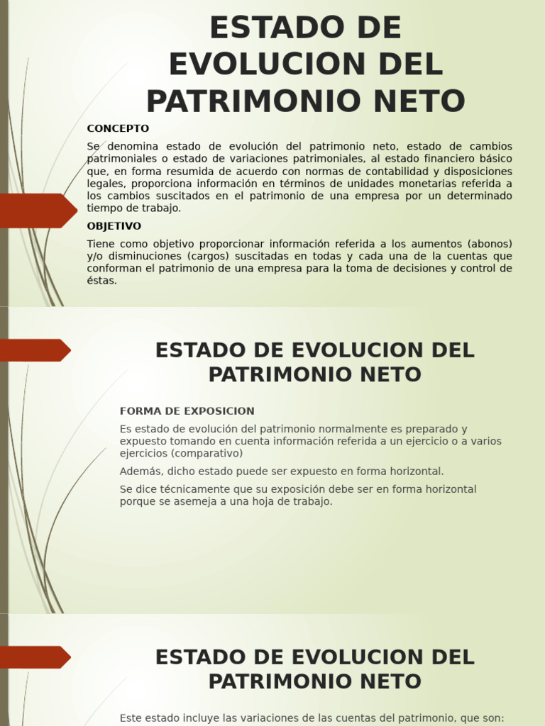 Estado de Evolucion Del Patrimonio Neto | PDF