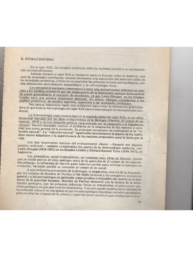 Evolucionismo Lischetti | PDF