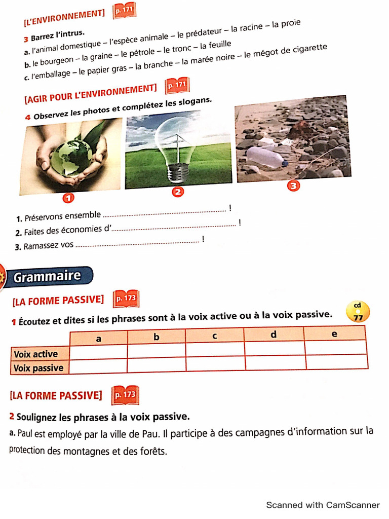 La Forme Passive - Exercices Cahier | PDF