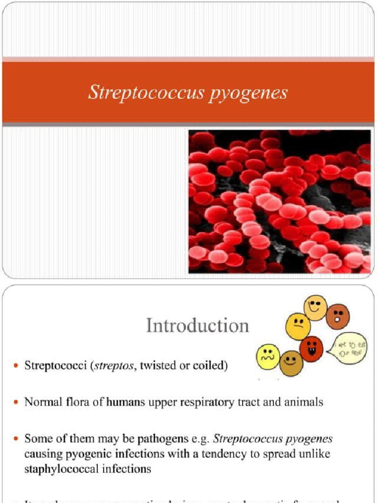 Pyo Genes | PDF
