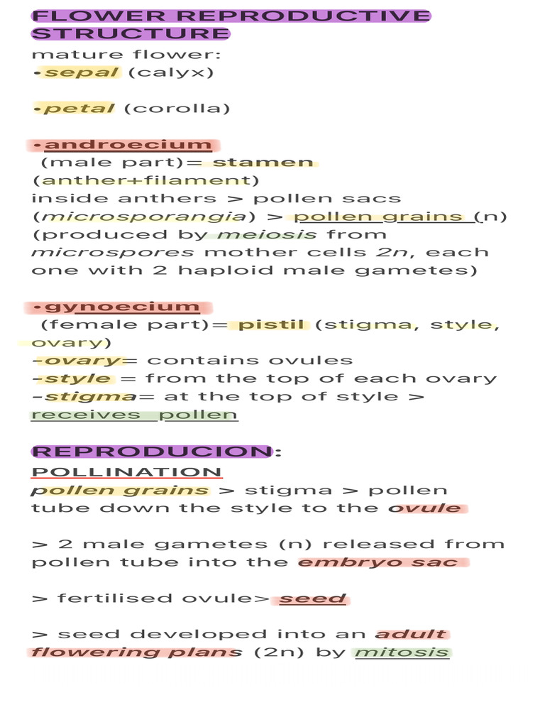 Flower Reproductive Structure | PDF