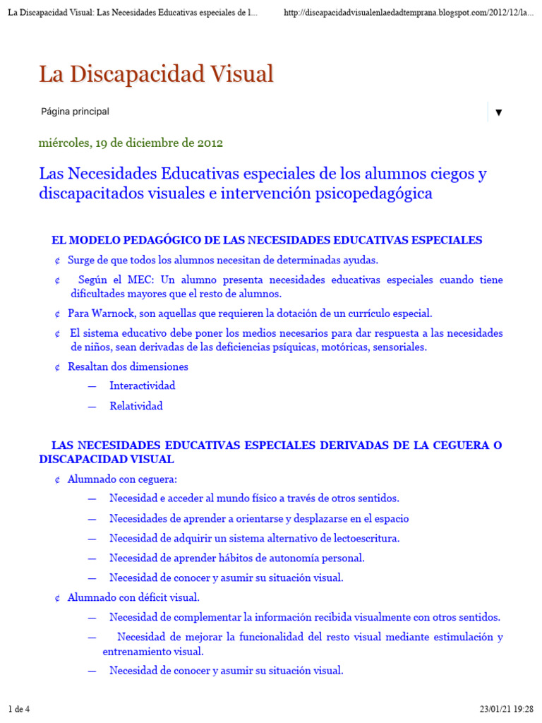 La Discapacidad Visual | PDF
