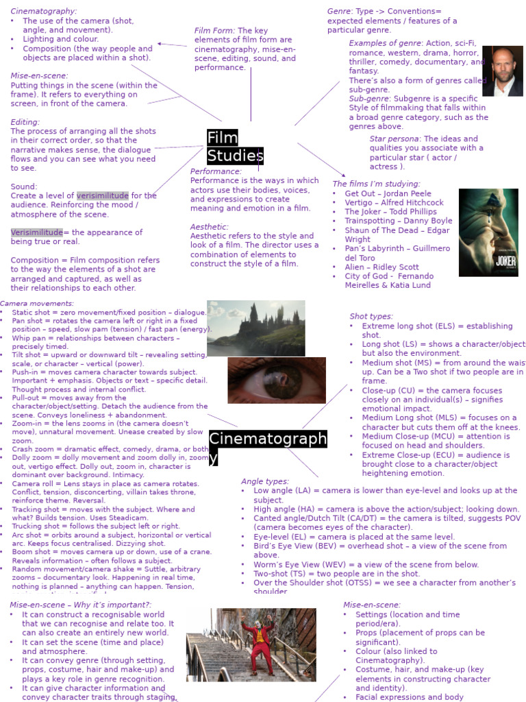 Film Studies Mind Map - Cinematography and Mise en Scene | PDF